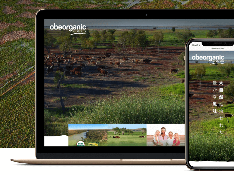 Greenpeace – Custom Media